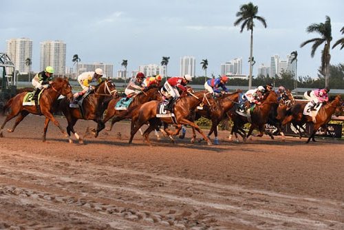 Off Track Betting | The Mirage Sports Bar